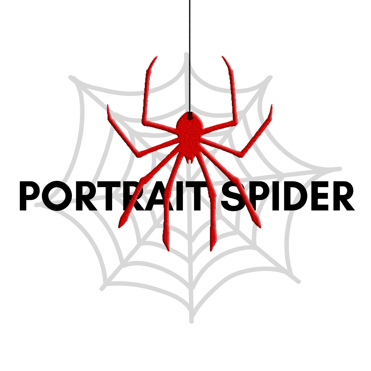 PortraitSpider : Amazing Custom String Portrait Arts